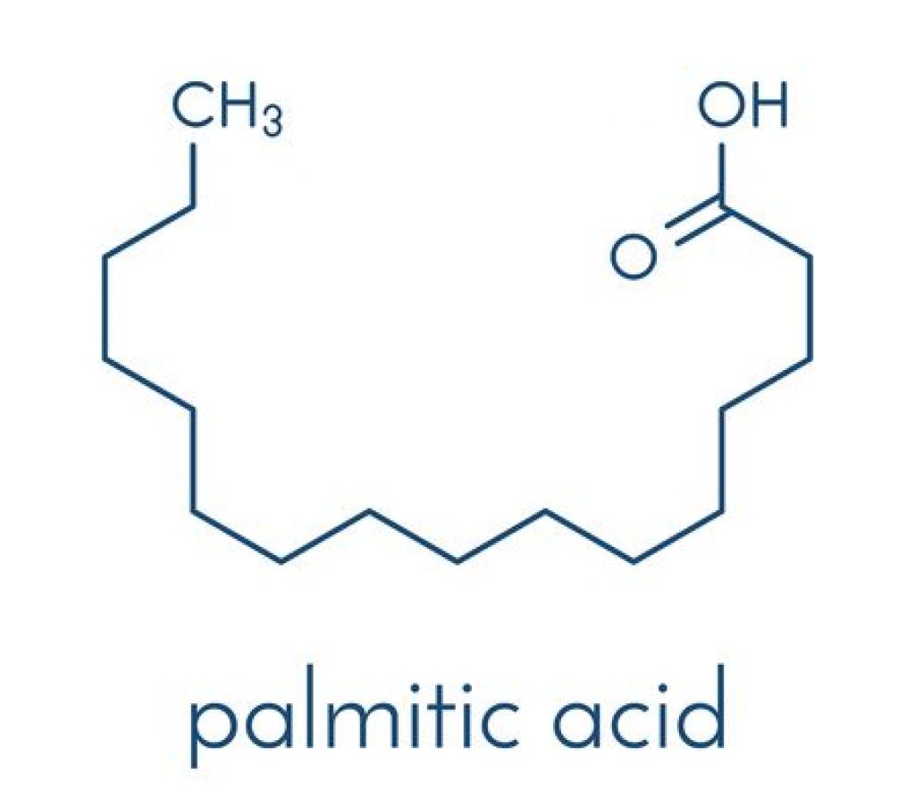 Palmitic Acid: Nguồn gốc, tác dụng và mức độ an toàn | TuDienLamDep